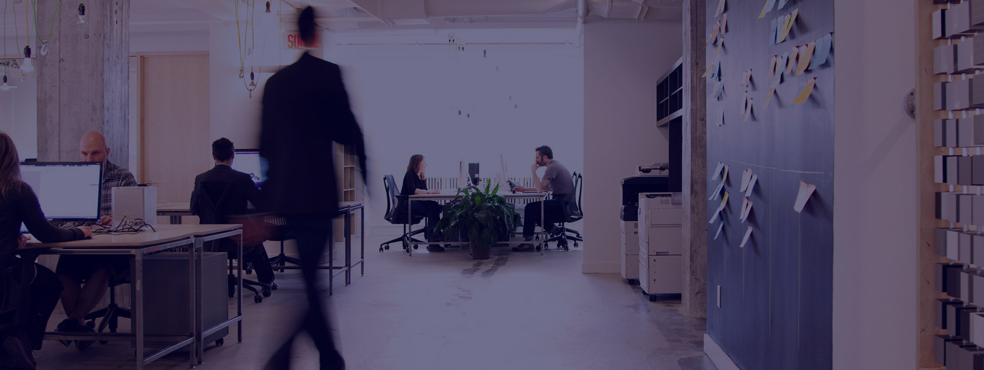 Why Choose Sports Marketing Company?